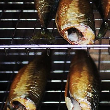 11 Best Fish Smokers (2023 Update) Reviews & Buyers Guide